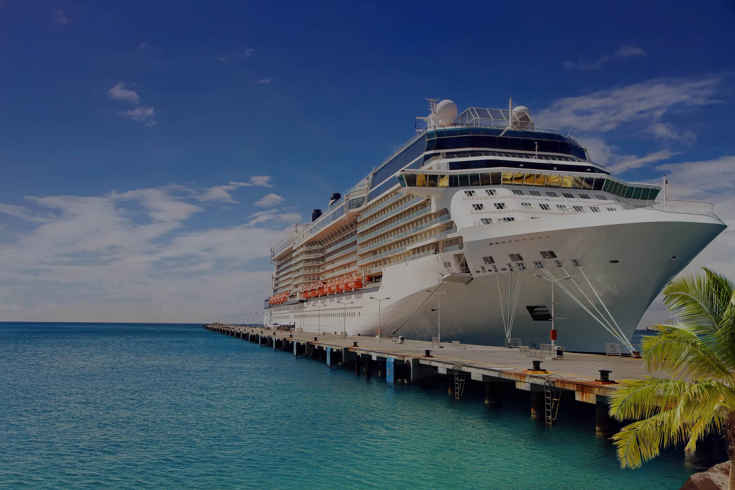 International Travel Agency - World Cruises - International Tours